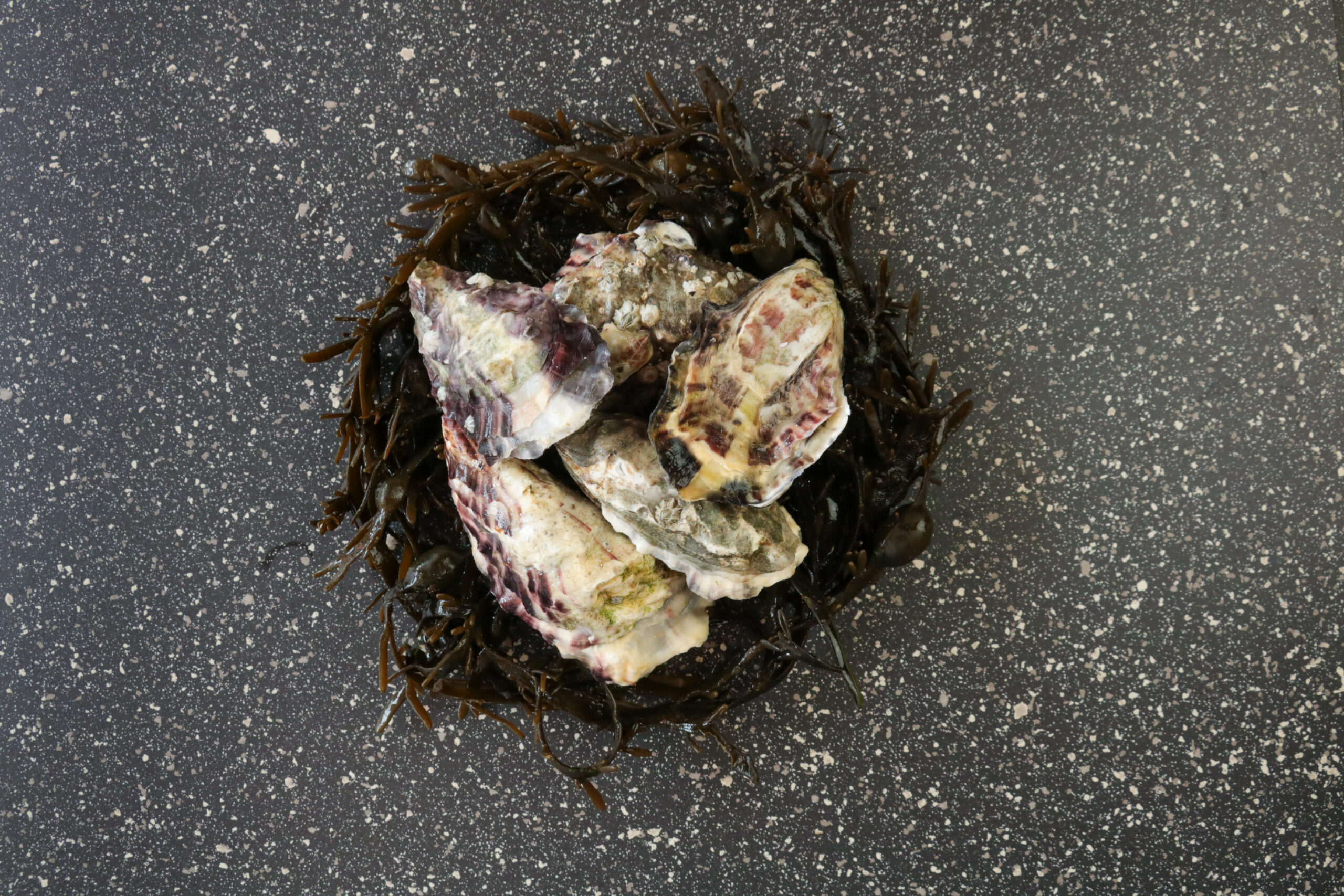 Zeeuwse Oesters Kistje - 024Vis