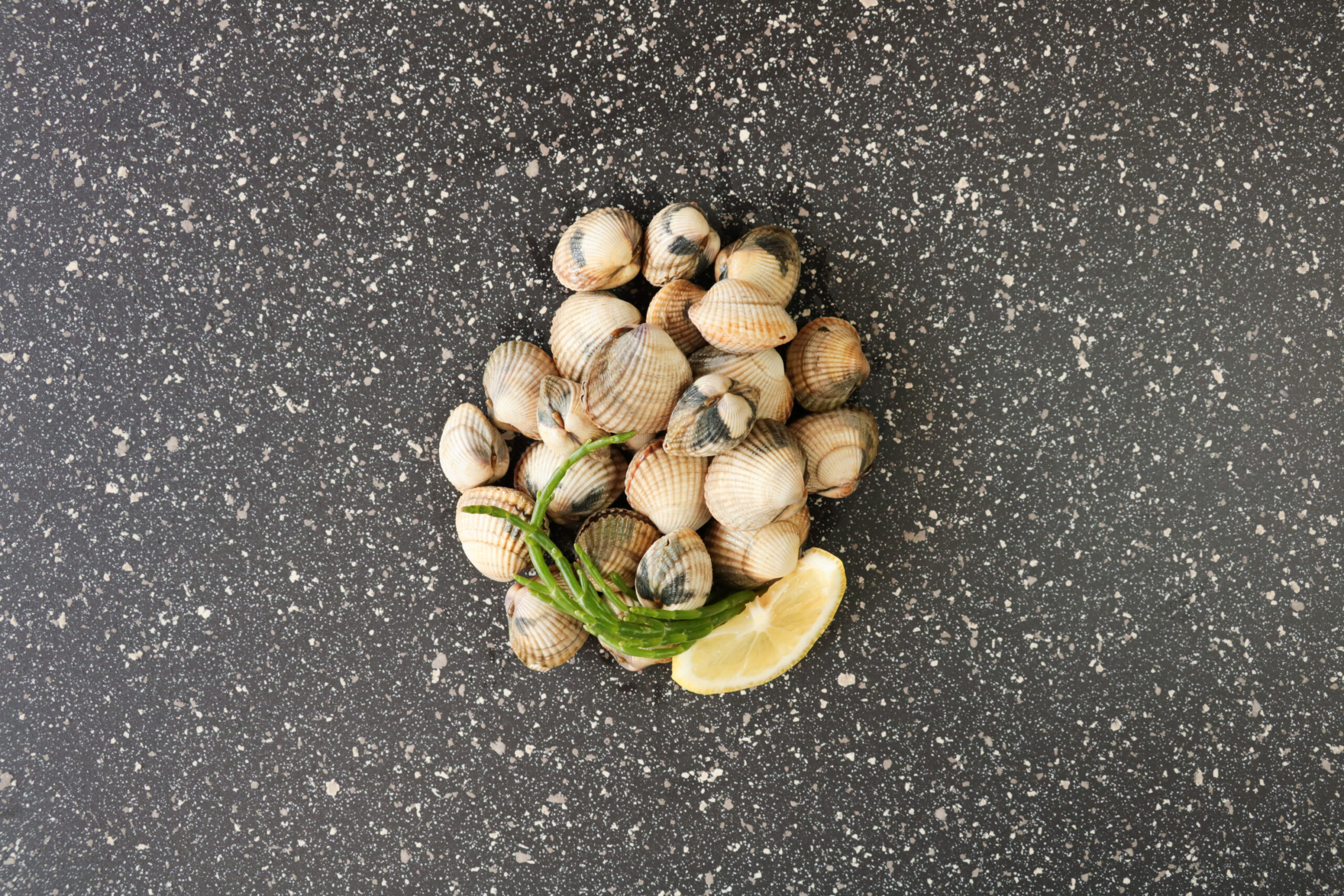 Verse kokkels - 024Vis